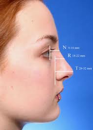 Ideal Nasal Projection